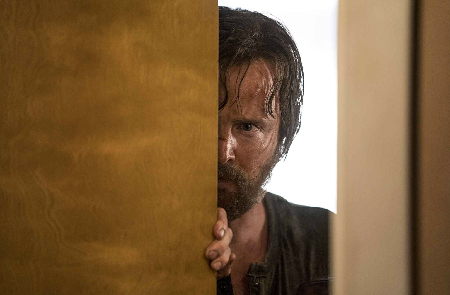 El Camino: A Breaking Bad Movie (2019).